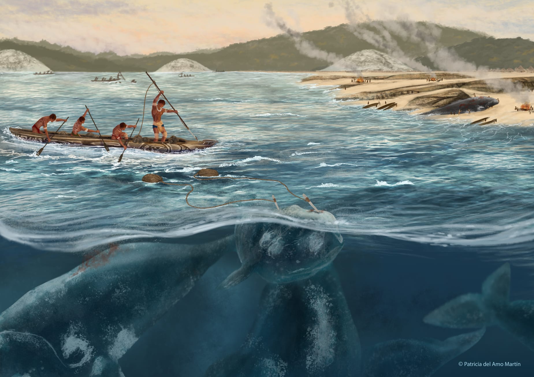 Whale hunting in South America began 5,000 years ago, a millennium ...